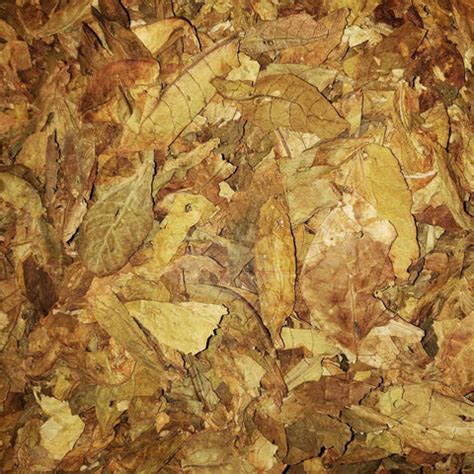 Traditional Pipe Tobaccos Whole Leaf Tobacco