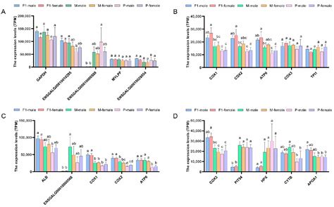 Figure 2 From Strand Specific Rna Sequencing Reveals Gene Expression Patterns In F1 Chick Breast
