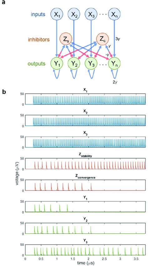 A Schematic Of A Two Inhibitor Wta Network Synaptic Weights Are