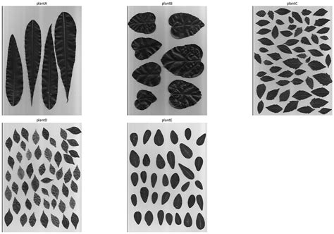 Image Machine Learning Classification Without Neural Networks