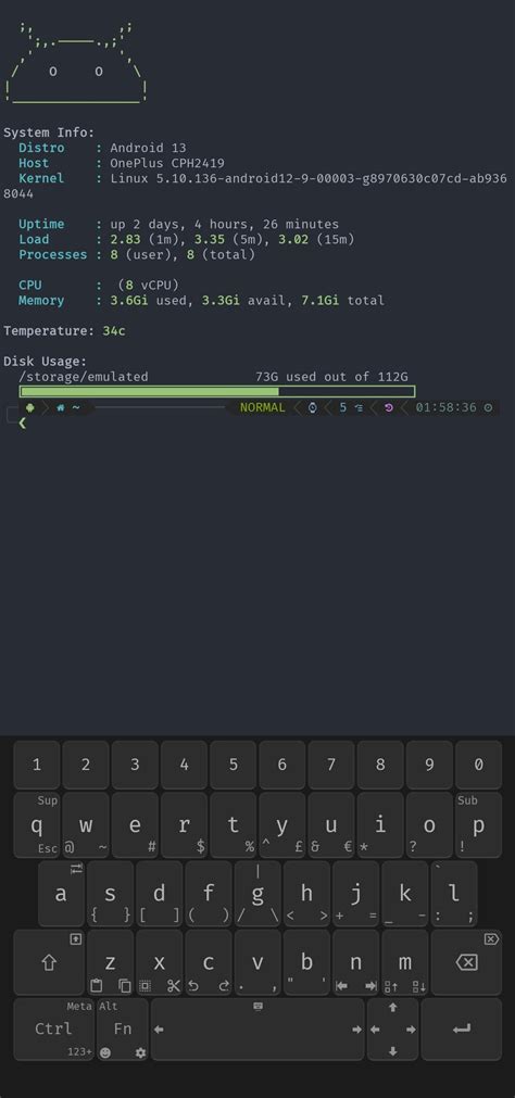 termux and neovim setup r termux