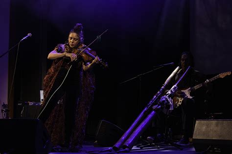 Review Veronique Serrets Migrating Bird At The Embassy X Press Magazine Entertainment In Perth