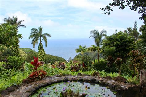 Garden Of Eden Maui Mile Marker Fasci Garden