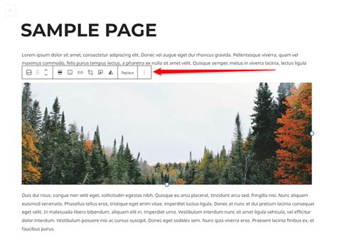 how to use wordpress reusable blocks free hosting