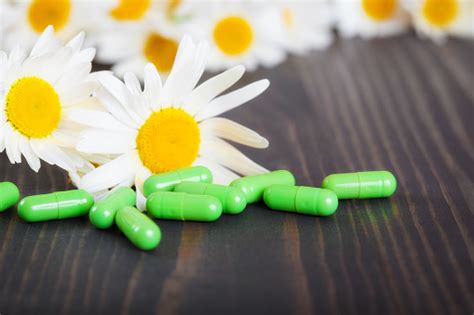 나무 테이블에 캡슐과 카모마일 꽃입니다 대체 의학 및 식물 요법의 개념 0명에 대한 스톡 사진 및 기타 이미지 0명 개념 건강관리와 의술 Istock