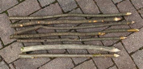 New Stake Sharpener Added To Green Shoots Product Line Green Shoots News