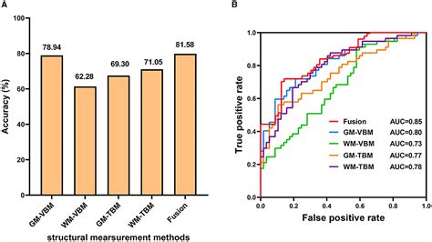 Frontiers Voxel And Tensor Based Morphometry With Machine Learning Techniques Identifying