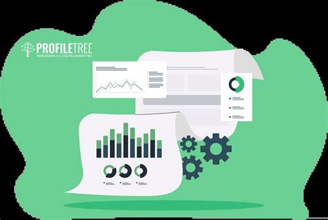 Unlocking Customer Insights Best Customer Analytics Software Profiletree