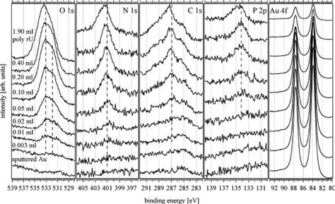 polarization lowering of charge injection barriers at a ribonucleic