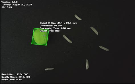 Ai Object Measurement And Inspection Swiftvisionai