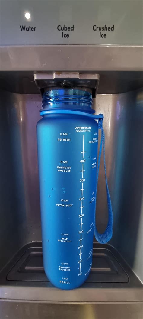 A Lucky Fit As I Can Fill My New Water Bottle Direct From The Fridge R Perfectfit
