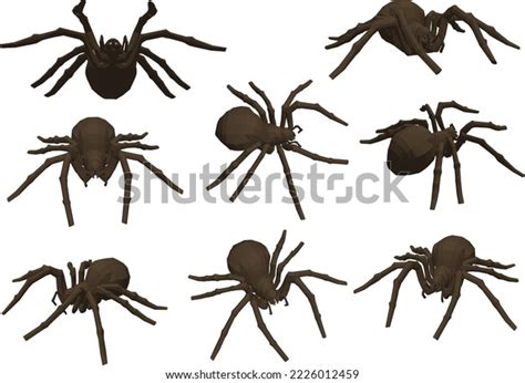 White Background Spider Design Collection Stock Vector Royalty Free 2226012459 Shutterstock