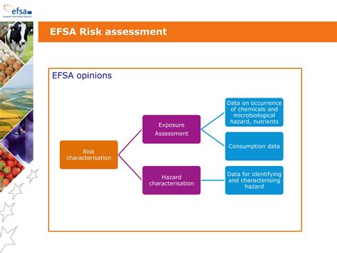 Data Collection By Public Bodies Joint Efsa Member State Activities