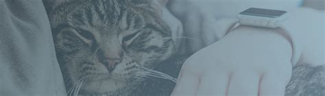 What Is A Sleep Diary Sleep Mastery 101