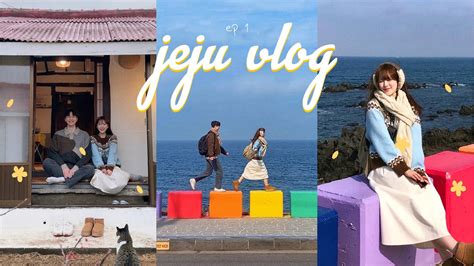 Jeju Vlog 1🍊 고양이 호스트가 있는 제주 동쪽 감성 숙소 3박4일 제주도 완벽 동선 코스 제주도 촬영 코스 먹부림 제주 여행ㅣ김두성할머니집 Youtube