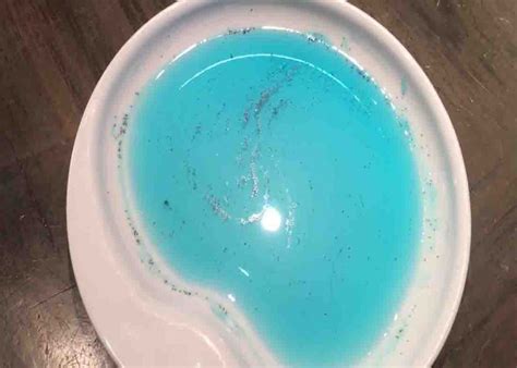 Fast And Cheap Way To Get Rid Of Fleas DIY Joy