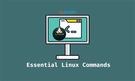 15 Comandos Esenciales De Linux Para Principiantes Muylinux