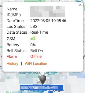 Life Under 24 7 GPS Surveillance A GPS Ankle Tag Experiment Privacy International