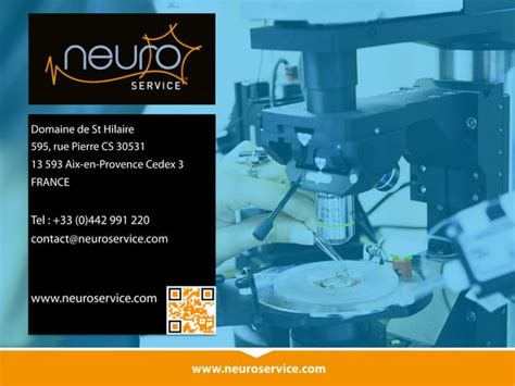 Multi Electrode Array Technique Evaluation Of Compounds On Nmda