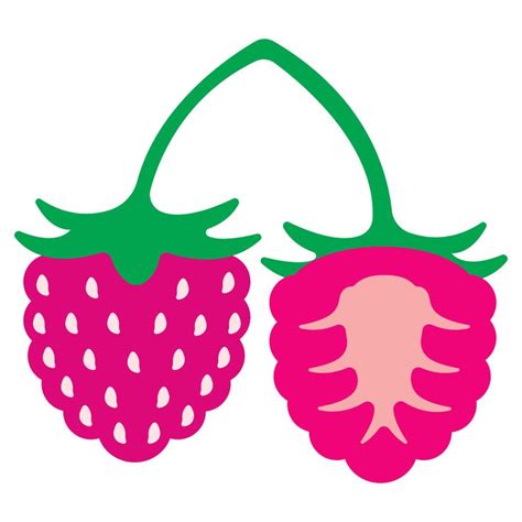 Cute Raspberry Vector Illustration In 2025 Vector Illustration Illustration Stock Vector