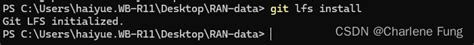 Windows上git Lfs的安装和使用windows Git Lfs Csdn博客