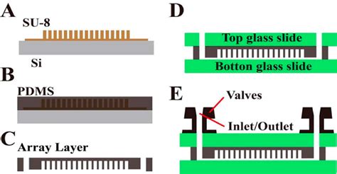 Figure 1 From A Chamber Based Digital Pcr Based On A Microfluidic Chip