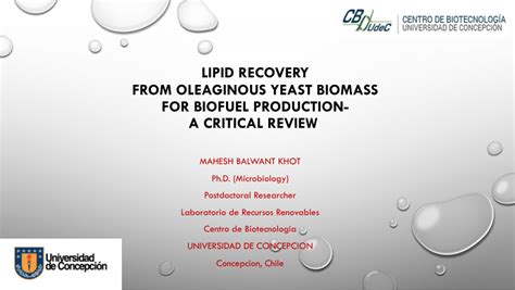 PDF Lipid Recovery From Oleaginous Yeast Biomass For Biofuel Production A Critical Review