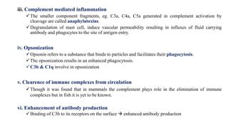 Fish Complement System Pathways And Regulations PPTX