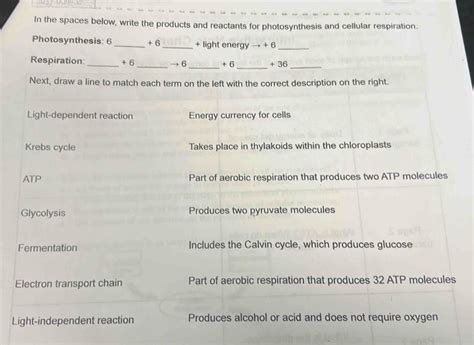 solved in the spaces below write the products and reactants for