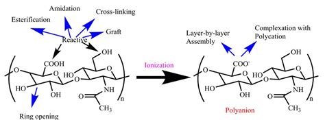 Hyaluronic Acid And Pegylated Hyaluronic Acid Boc Sciences