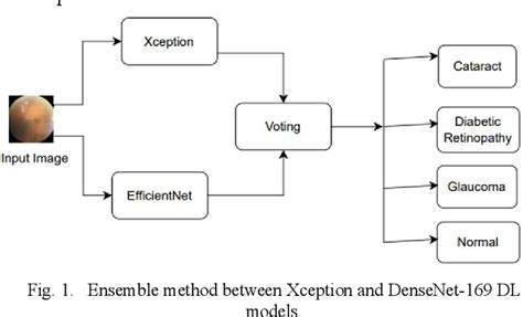 Figure 1 From Pre Trained Deep Learning Based Approaches For Eye