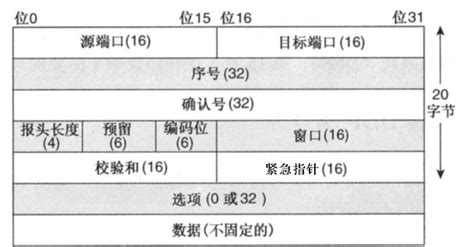 Tcpip协议基础 Csdn博客