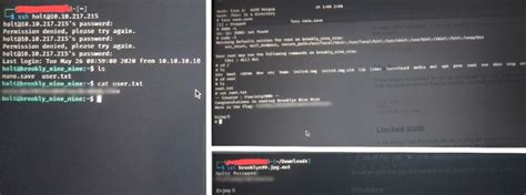 cybersecurity ethicalhacking tryhackme brooklynninenine learningbydoing skillsdevelopment