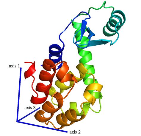 3 Principal Axes Of The Inertia Tensor The First Principal Axis Download Scientific Diagram