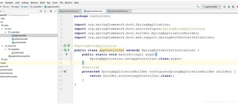 springBoot 项目排除数据库启动方式 张生荣