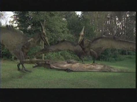 Pterodactyl Film Alchetron The Free Social Encyclopedia