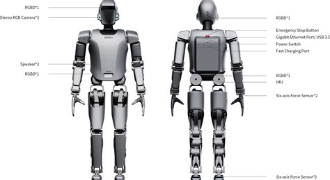 Byd Is Looking For Engineers To Build Humanoid Robots