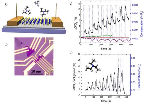 A Schematic Of The Single Mos2 Layer Sensor Supported On An Sio2 Si