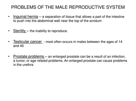 Ppt The Male Reproductive System Powerpoint Presentation Free Download Id