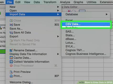 How To Enter Data In SPSS Steps With Pictures WikiHow