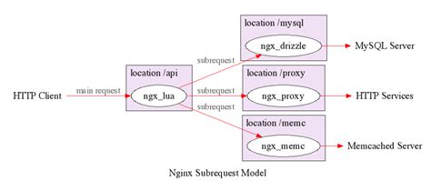 Ngxluaapi 指令详解（三）怎样理解 Cosocket指令 阿里云开发者社区