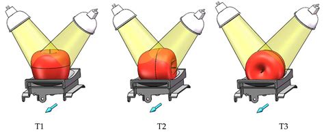 Online Detection And Classification Of Moldy Core Apples By Vis Nir Transmittance Spectroscopy