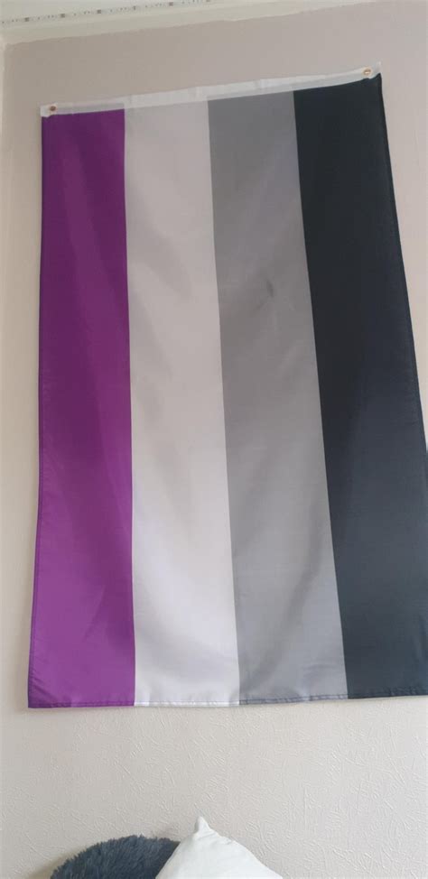 I Have An Aro And Ace Flag Now Raromantic