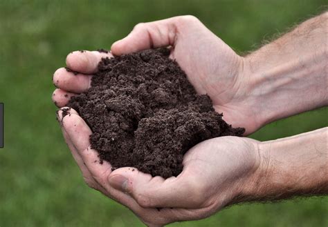 Nutrien Expects Normal Fertilizer Prices In 2023 Miningcom