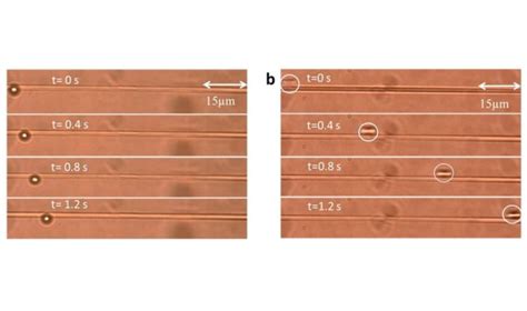 Higher Order Modes The Key To Fast Optical Manipulation Asian
