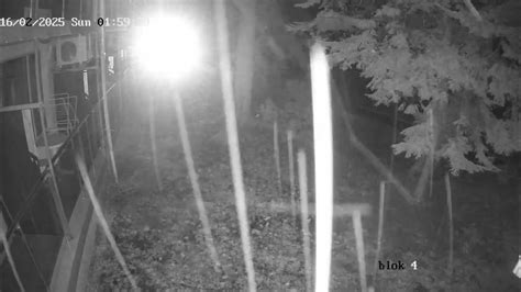 Ip Camera23 Kiten Kiten 20250216015458 20250216020458 4273647 Youtube