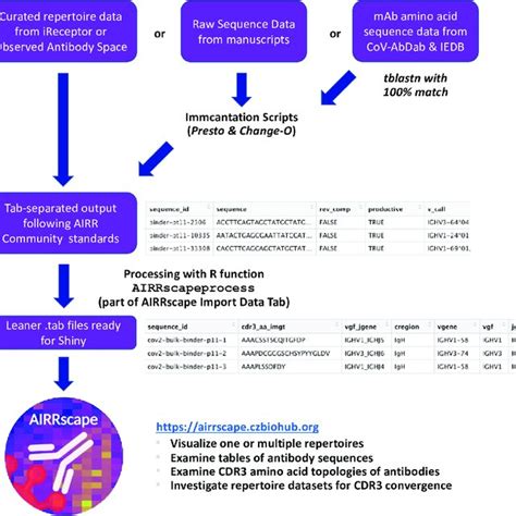 Workflow Of Repertoire Data Retrieval And Processing Download Scientific Diagram