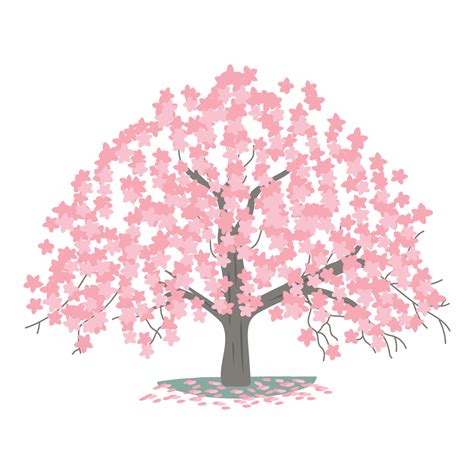 Cherry Blossom Tree 271500 Vector Art At Vecteezy