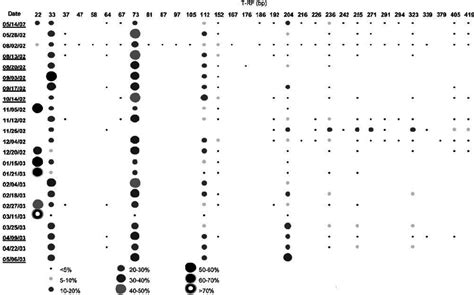 T Rflp Profiles Showing The Relative Abundances Of T Rfs Over The