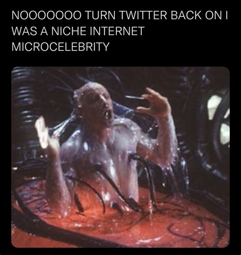 Rufus The Kunekune On Tumblr